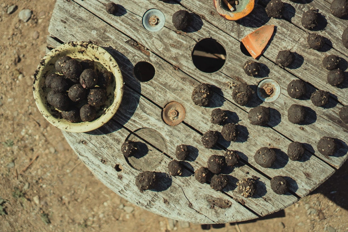 How to make seed bombs
