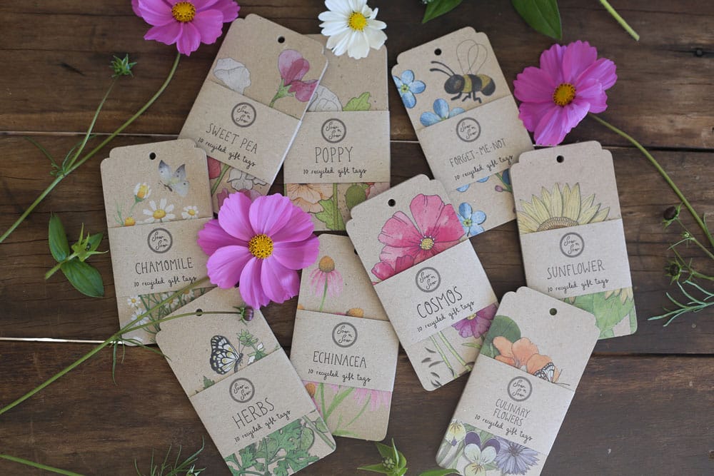 Billy Buttons Gift Tag - 10 Pack - Sow 'n Sow