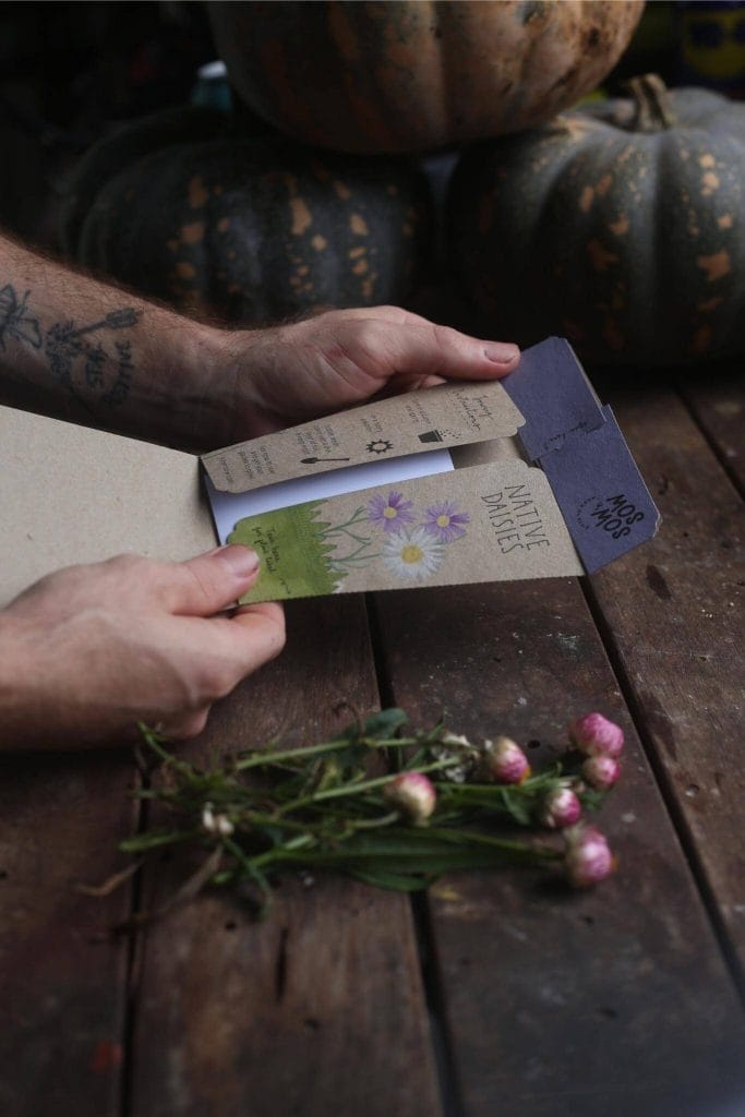 Native Daisies Gift Of Seeds - Sow ʼn Sow