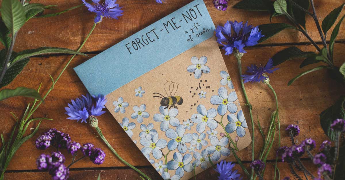 How To Write A Thoughtful Sympathy Card Message - Sow ʼn Sow