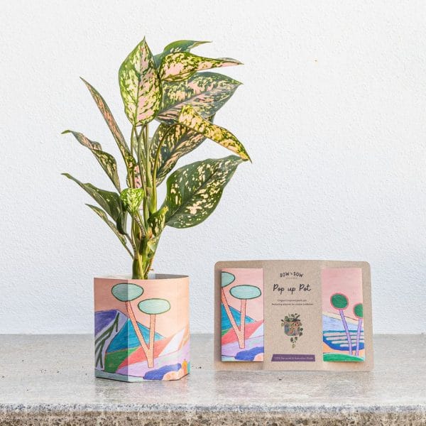 15 Thoughtful Gifts For Event Attendees - Sow ʼn Sow